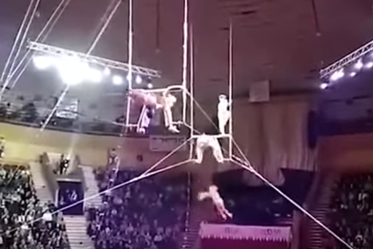 Trapeze performer plummets 40-feet in front of shocked circus-goers ...