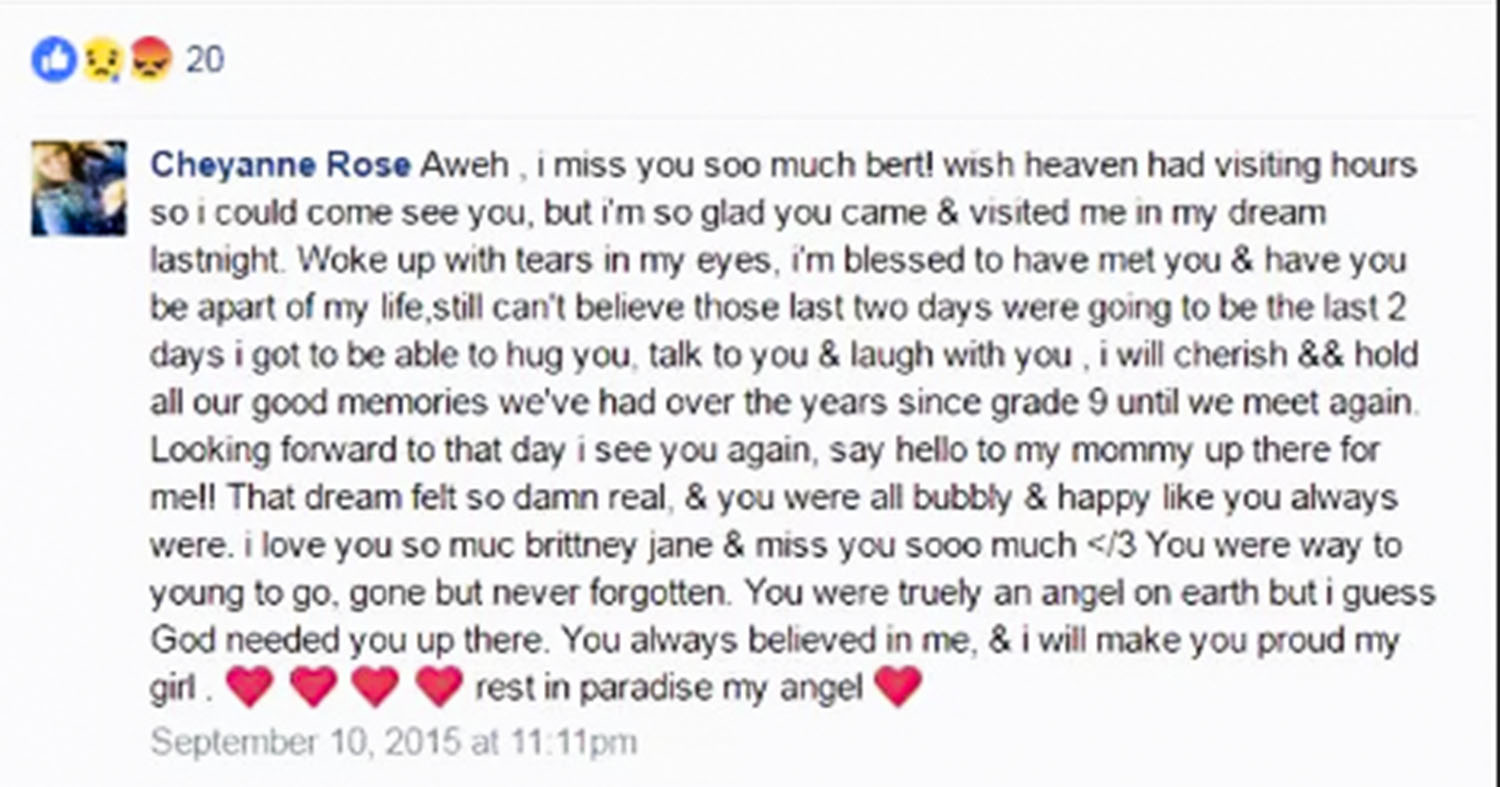 18-year-old Brittney Gargol's alleged killer identified in close friend ...