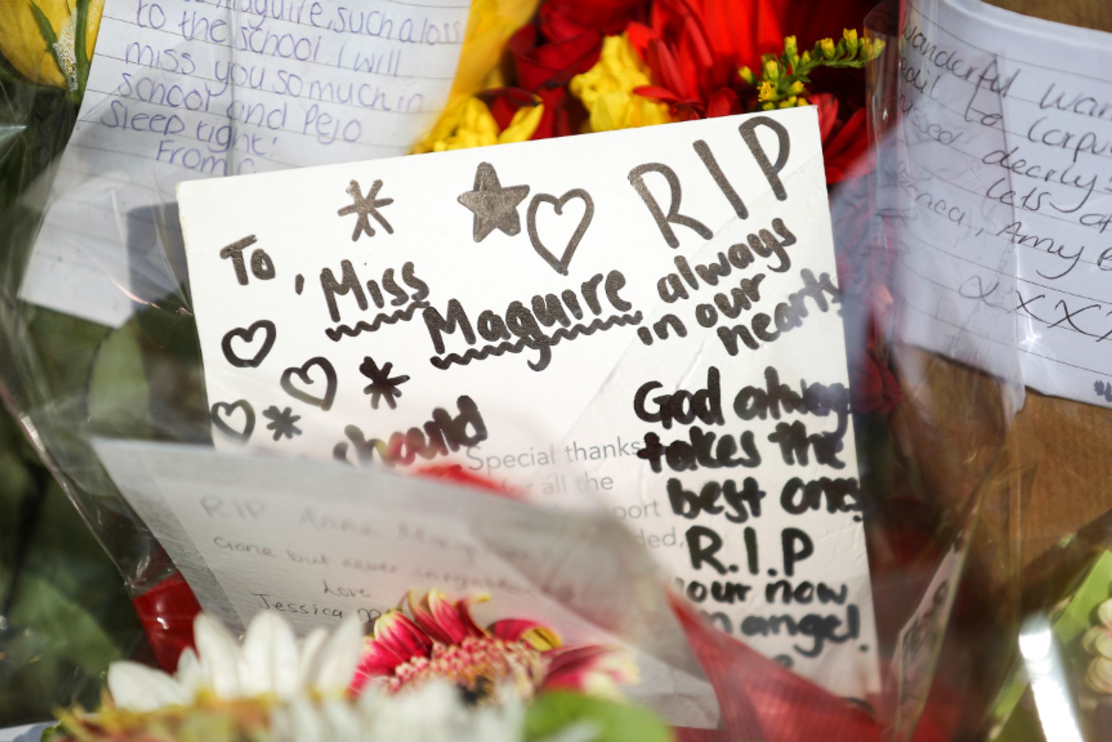 Teenage killer Will Cornick stabbed much-loved Spanish teacher Ann ...