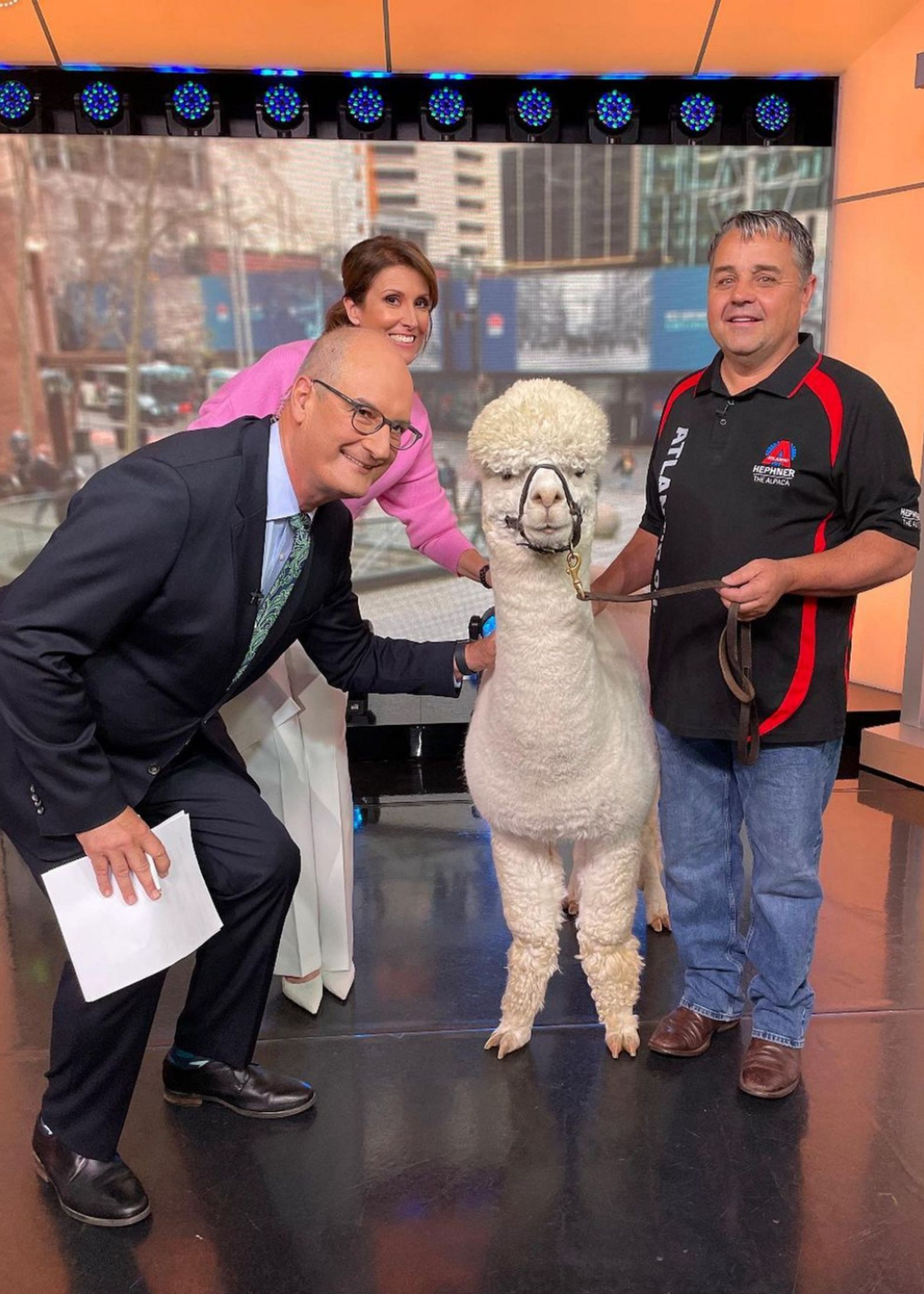 Robert Fletcher's alpaca Hephner loves a drink down at the local pub ...