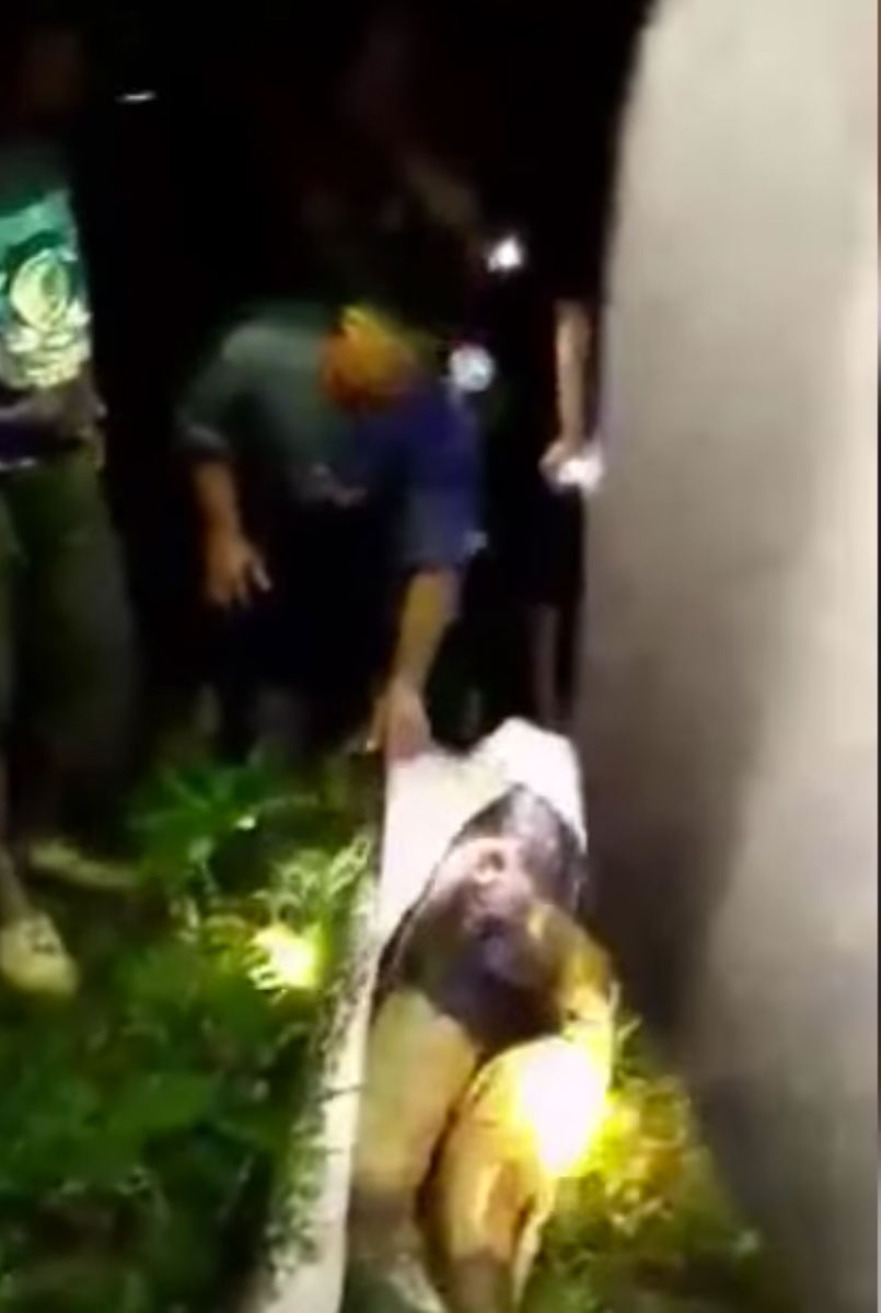 Missing man’s body found in MASSIVE 7 metre python | that's life!